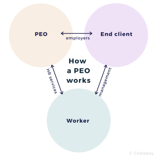 Explained: What is a Professional Employment Organisation (PEO)? - Codapay